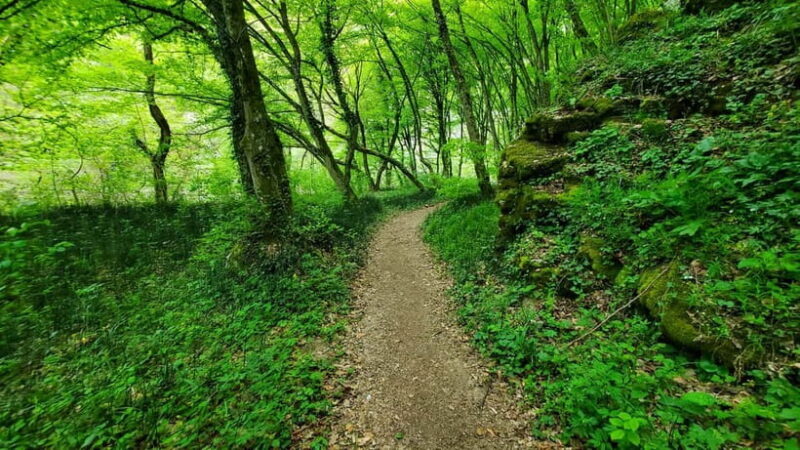 From Oradea: Gorges of Crisul Repede River - The Sum Up