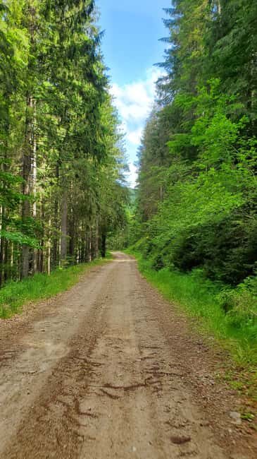 From Oradea: Mountain Bike around Lake Dragan - The Experience and Atmosphere