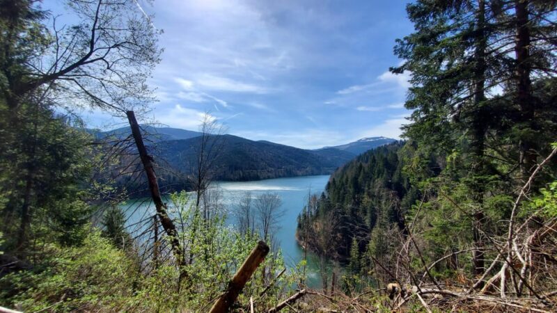 From Oradea: Mountain Bike around Lake Dragan - Final Thoughts