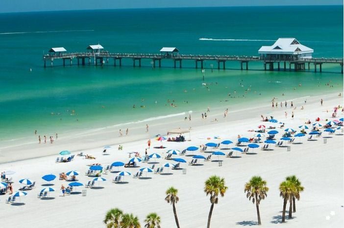 From Orlando: Clearwater Beach and Marine Aquarium Admission - An Overview of What to Expect