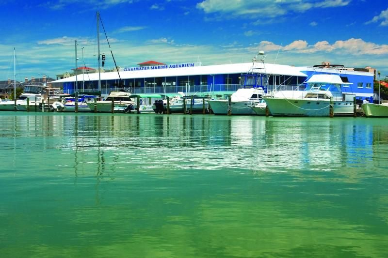From Orlando: Clearwater Beach and Marine Aquarium Admission - Who Will Enjoy This Tour?
