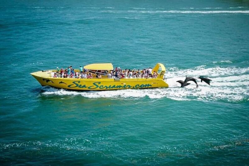 From Orlando: SeaWorld and Clearwater Beach 5-Day Group Tour - Day 5: Flexible options for your final day