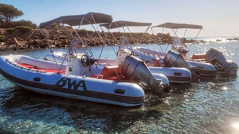 From Orosei: dinghy tour to Cala Ginepro - Cala Goloritzè - The Sum Up