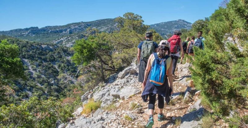 From Orosei/Dorgali: Hike to Cala Luna - Guided Day Trip - Experience the Beauty of Sardinia on a Guided Hike to Cala Luna
