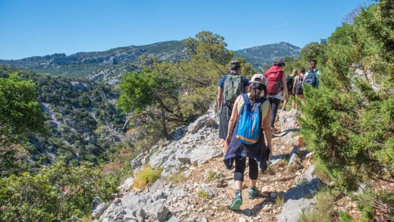 From Orosei/Dorgali: Hike to Cala Luna - Guided Day Trip - Key Points