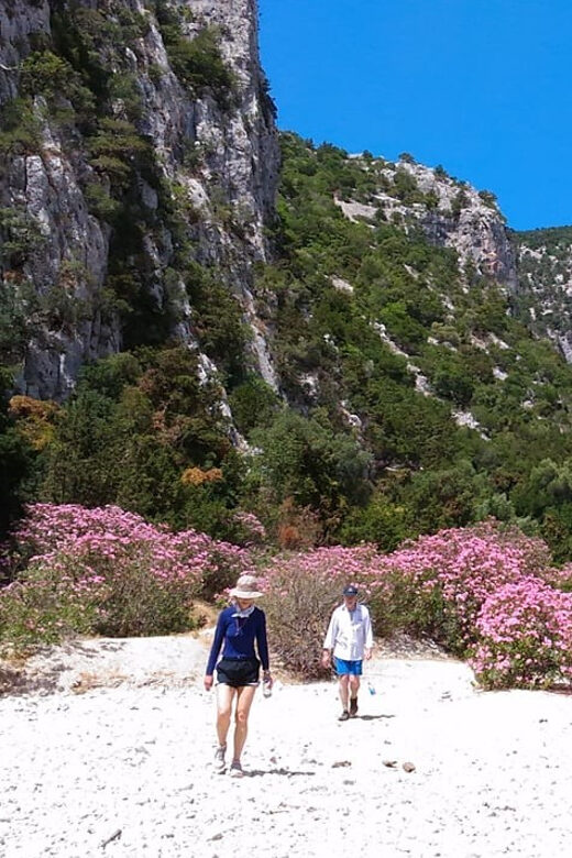 From Orosei/Dorgali: Hike to Cala Luna - Guided Day Trip - Authentic and Practical: Who Will Love This Tour?