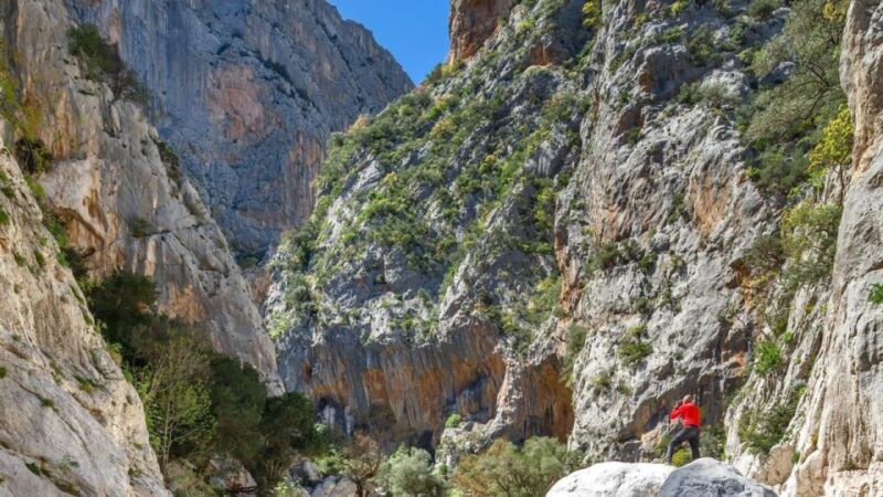 From Orosei or Dorgali: Gorropu canyon Guided Hiking Tour - A Deep Dive into the Gorropu Canyon Guided Hike