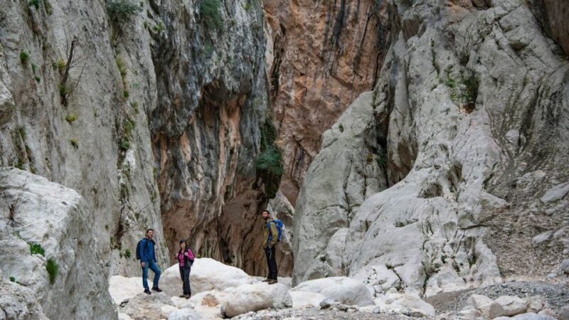 From Orosei or Dorgali: Gorropu canyon Guided Hiking Tour - The Experience Provider and Booking Details