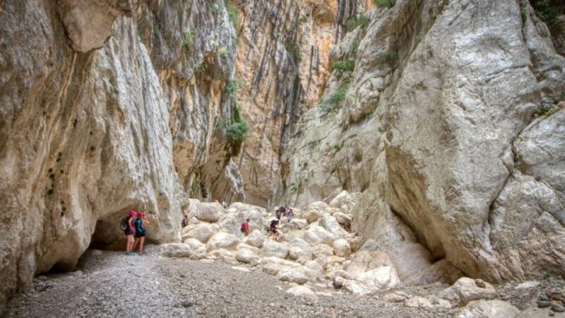 From Orosei or Dorgali: Gorropu canyon Guided Hiking Tour - Final Thoughts