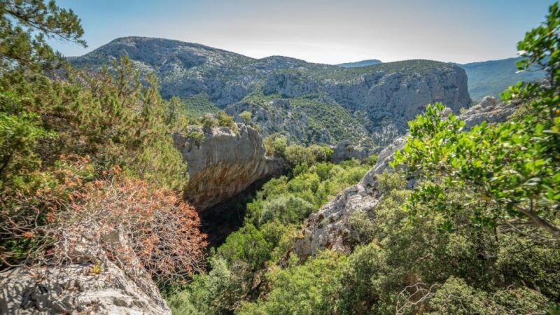 From Orosei or Dorgali: Guided Hiking Day Trip to Tiscali - Key Points