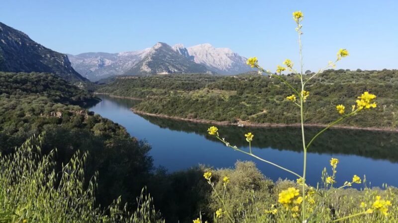 From Orosei or Dorgali: Guided Hiking Day Trip to Tiscali - Pricing and Value