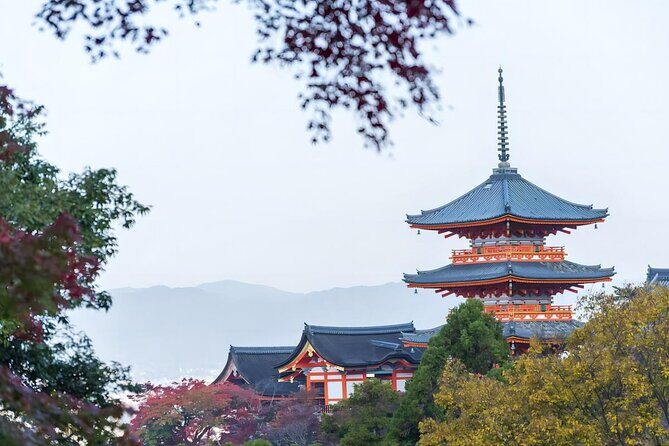 From Osaka: 10-hour Private Customizable Tour to Kyoto - What’s Included & What’s Not