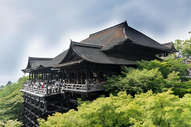 From Osaka: 10-hour Private Customizable Tour to Kyoto - In The Sum Up: Who Is This Tour Best For?