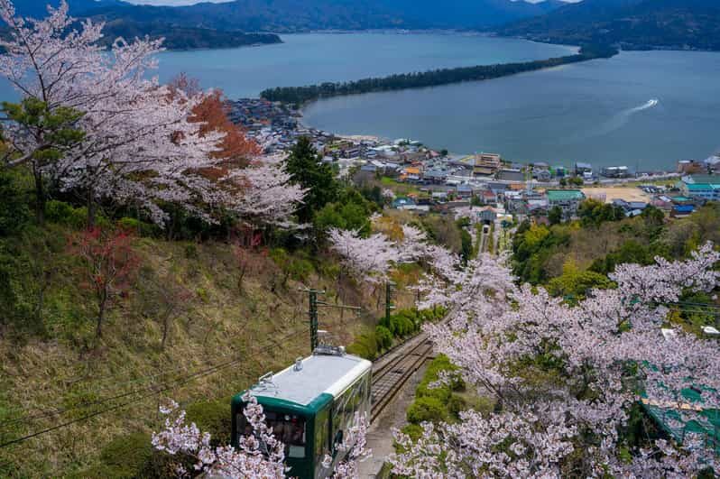 From Osaka: Amanohashidate and Ine Bay Day Trip - A Closer Look at the Itinerary