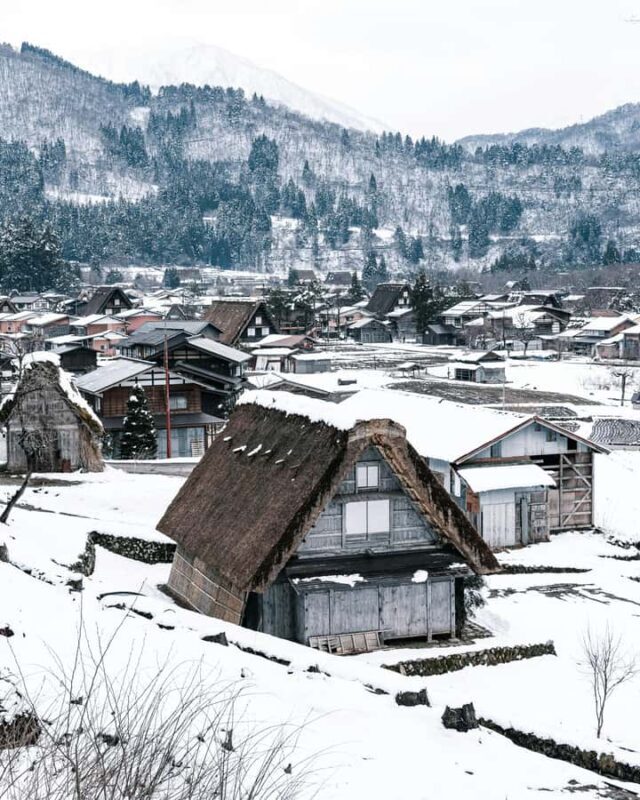 From Osaka: Day Trip to Shirakawago & Kanazawa - An In-Depth Look at the Tour Experience
