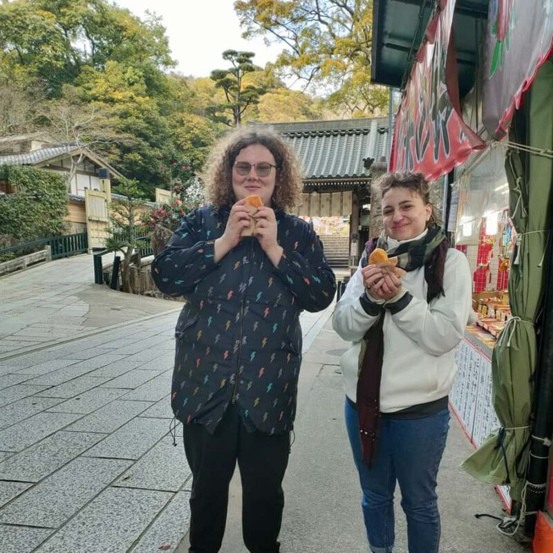 From Osaka: Hidden Kitchen God Temple & Local Treats Walk - Who Will Love This Tour?