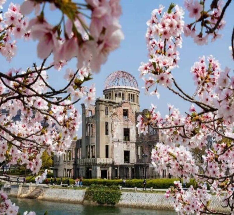 From Osaka: Hiroshima & Miyajima Island Private Guided Tour - Exploring Hiroshima and Miyajima: What to Expect