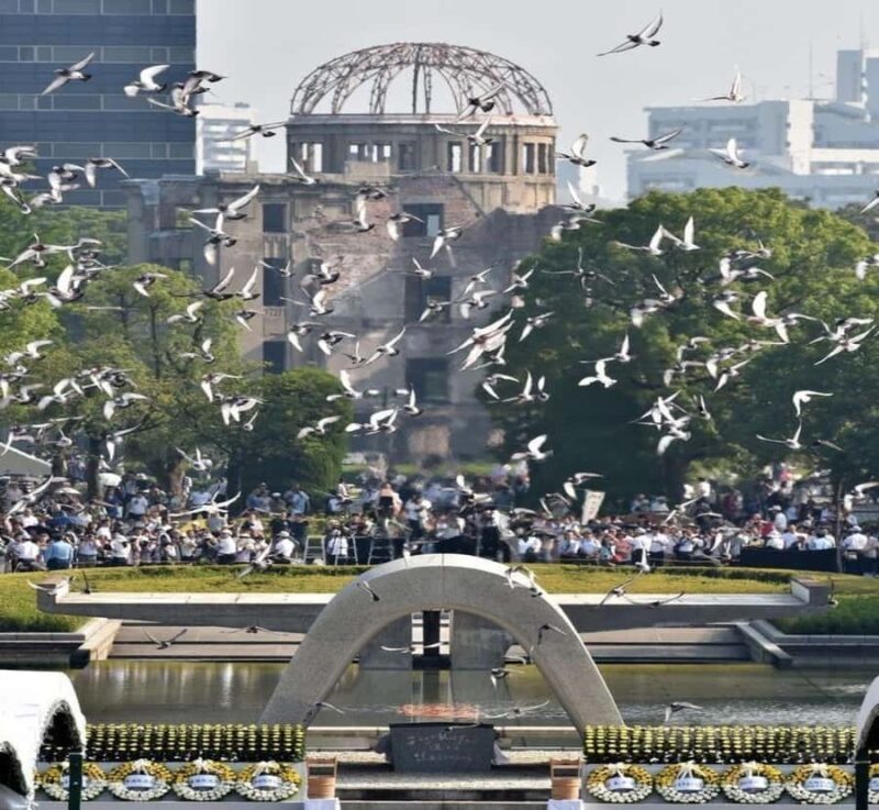 From Osaka: Hiroshima & Miyajima Island Private Guided Tour - The Bottom Line