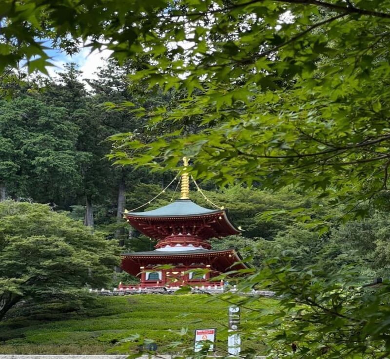 From Osaka: Hiroshima & Miyajima Private Day Trip - Practical Value and Cost Analysis