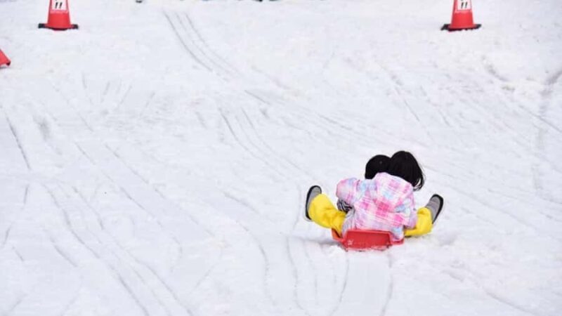 From Osaka: Japans Popular Okuibuki Ski Resort Day Trip - Authentic Insights from Past Travelers