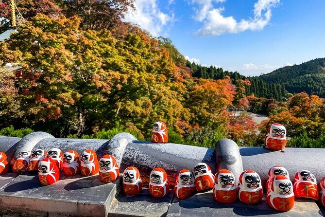 From Osaka: Katsuoji & Kyoto Kiyomizu & Arashiyama w/ Tea option - Who Will Enjoy This Tour?