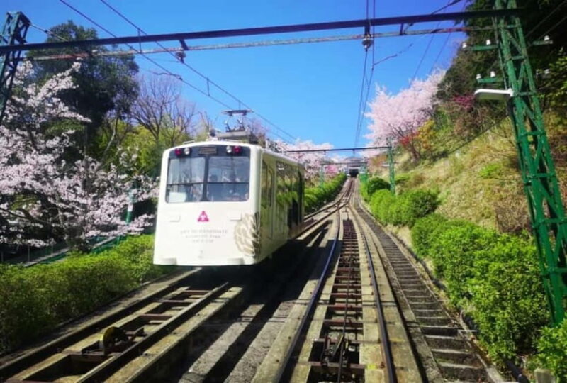 From Osaka/Kyoto: Amanohashidate Day Tour with Lunch - The Sum Up