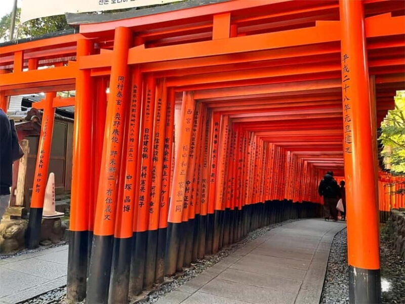 From Osaka: Kyoto and Nara Day Tour with Deer Sightings - Who Will Love This Tour?