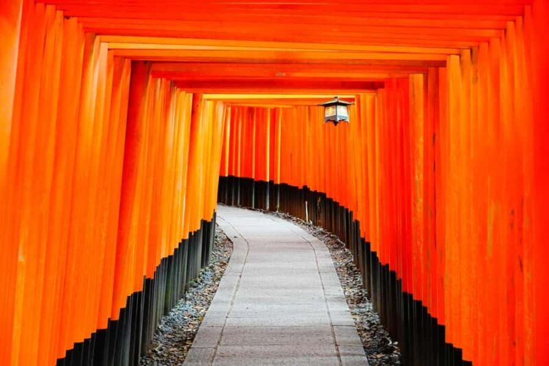 From Osaka/Kyoto: Arashiyama, Nara Park & Fushimi Inari Tour - Key Points