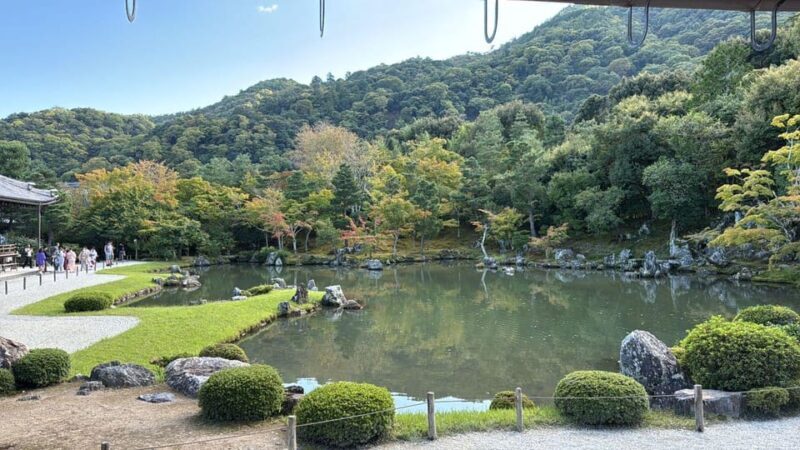 From Osaka: Kyoto Highlights One Day Private Tour - Who Should Consider This Tour