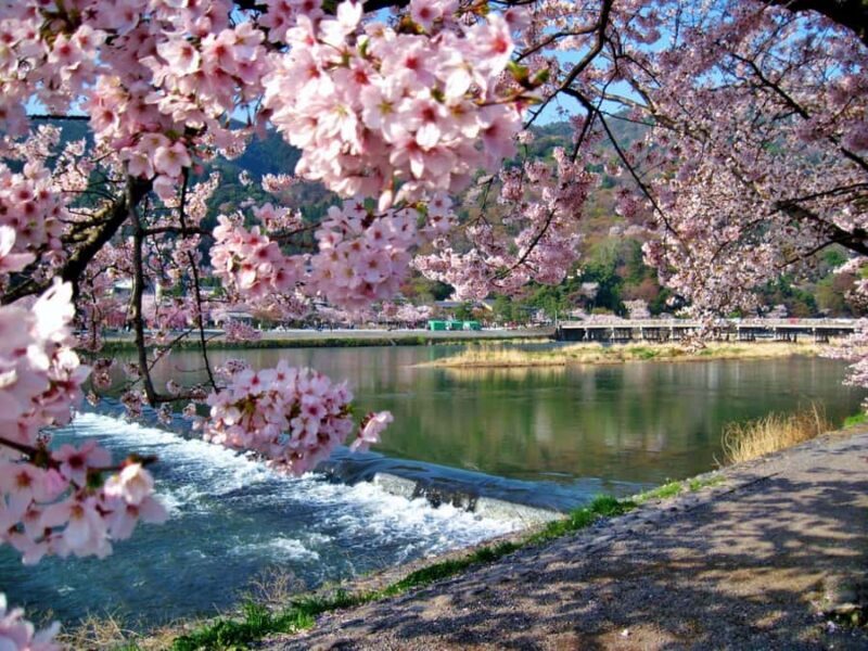 From Osaka/Kyoto: Kinkakuji, Arashiyama, FushimiInari, Nara - Final Summary