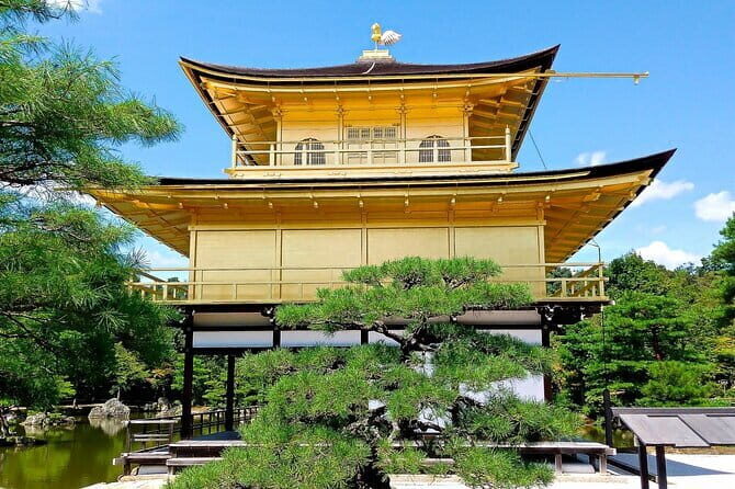 From Osaka-Kyoto: Kyoto and Nara 1Day Bus Tour - Who Is This Tour Best Suited For?