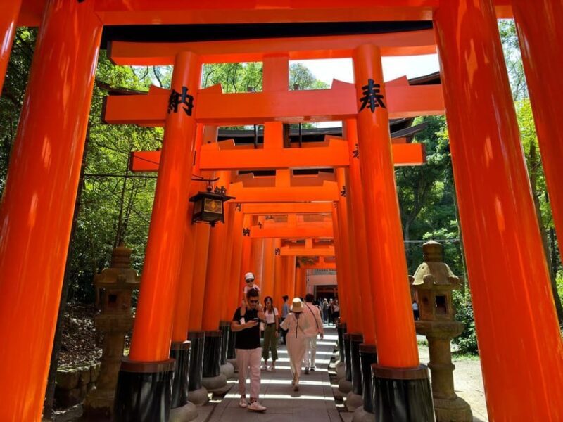 From Osaka/Kyoto: Kyoto, Nara, and Fushimi Inari Day Trip - Who Should Consider This Tour?
