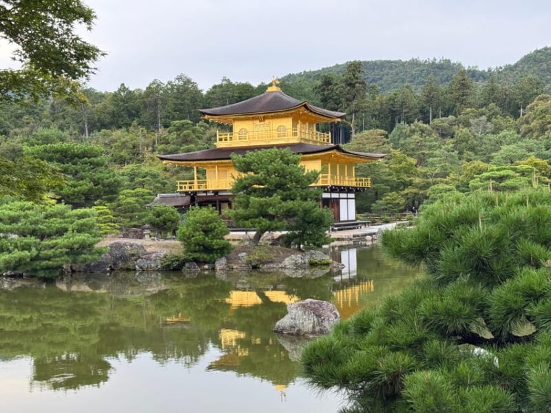 From Osaka/Kyoto: Kyoto & Nara Day Customised Sightseen Tour - Who Will Enjoy This Tour?