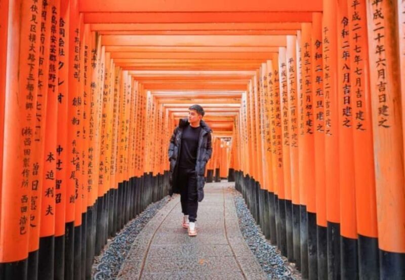 From Osaka/Kyoto: Kyoto Nara Day Trip Highlights - Who Will Love This Tour?