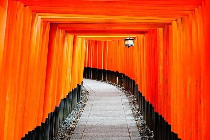 From Osaka/Kyoto: Kyoto & Nara Day Trip with Lunch - A Practical Overview of the Tour Experience