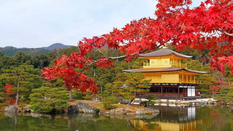 From Osaka/Kyoto: Kyoto UNESCO World Heritage Sites Day Tour - An Overview of the Tour Experience