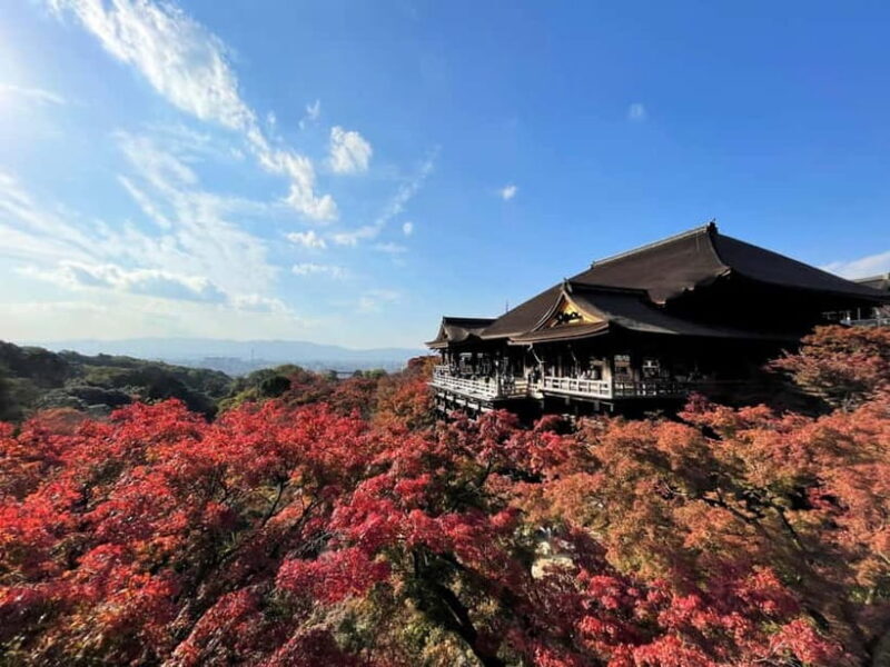 From Osaka/Kyoto: Kyoto UNESCO World Heritage Sites Day Tour - Who Will Appreciate This Tour?