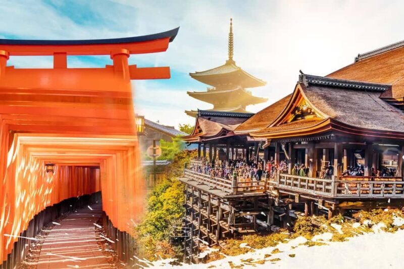 From Osaka: Kyoto & Nara Highlights Day Tour (7 attractions) - An In-Depth Look at the Tour Experience