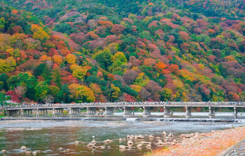 From Osaka/Kyoto: Nara & Kyoto Day Trip - Temples & Deer - Key Points