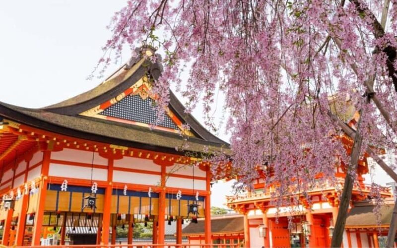 From Osaka: Kyoto, Nara/Uji Historic Cities Day Trip (Max 9) - The Itinerary Breakdown