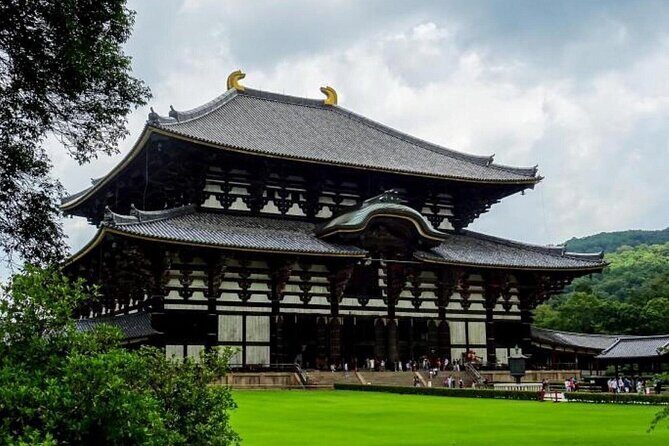 From Osaka/Kyoto : Private Kyoto & Nara Day Trip with Pickup - An In-Depth Look at the Tour Itinerary and Experience