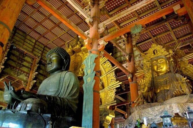 From Osaka/Kyoto : Private Kyoto & Nara Day Trip with Pickup - Who Will This Tour Suit?