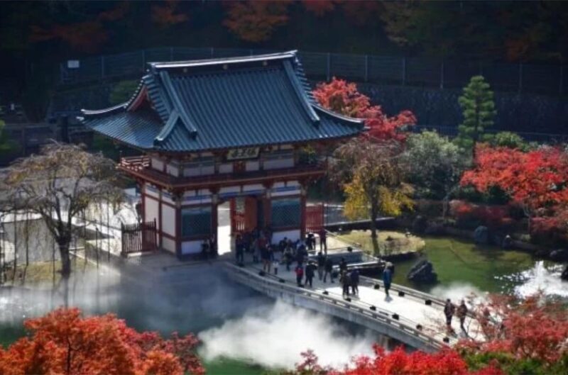 From Osaka/Kyoto : Private Osaka Day Trip w/Pickup & Dropoff - Key Points