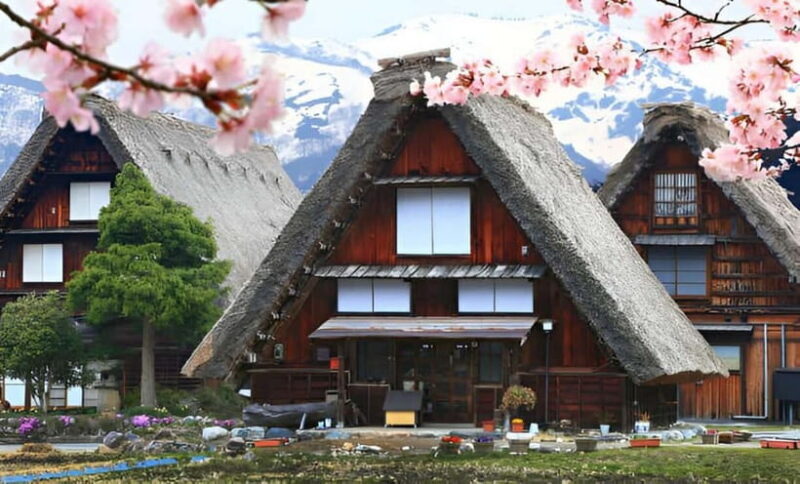 From Osaka/Kyoto: Shirakawa-go and Gokayama Day Tour - How This Tour Fits Different Travel Styles