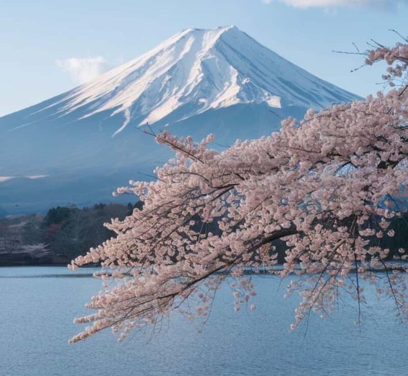 From Osaka: Mount Fuji Private Scenic Tour with Hotel Pickup - Key Points