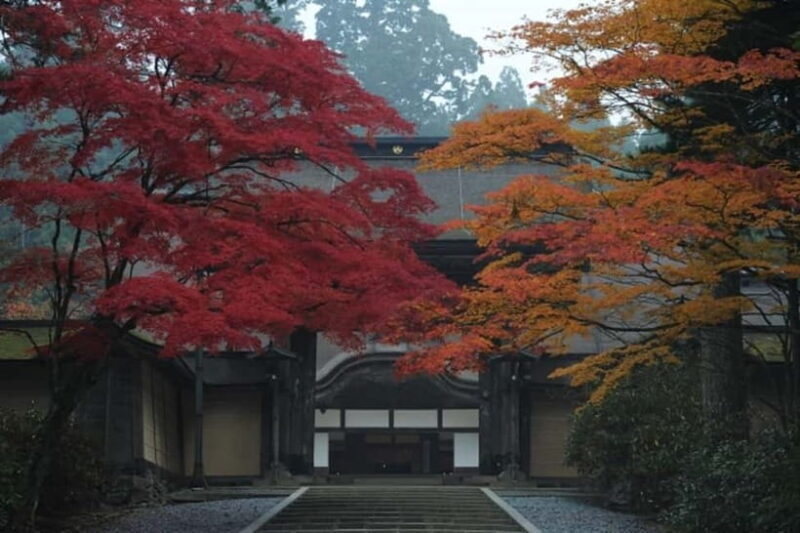 From Osaka: Mt. Koya Autumn Leaves Tour with Fruit Picking - Uncovering the Charm of the Mt. Koya Autumn Leaves Tour from Osaka