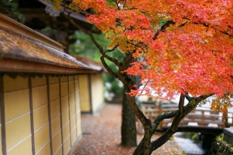 From Osaka: Mt. Koya Autumn Leaves Tour with Fruit Picking - Final Thoughts