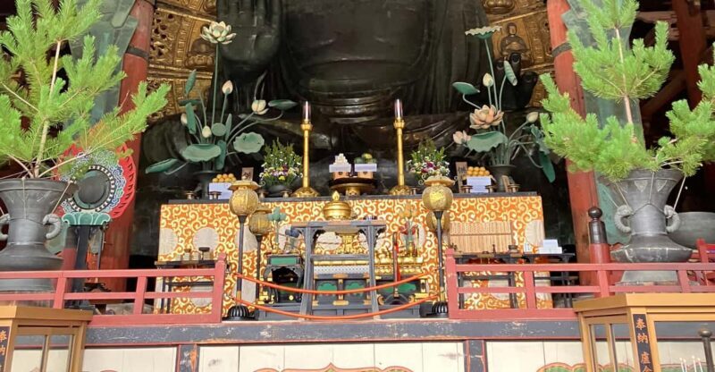 From Osaka: Nara Private Tour with Meet-Up at Your Hotel - A Deeper Look at the Experience