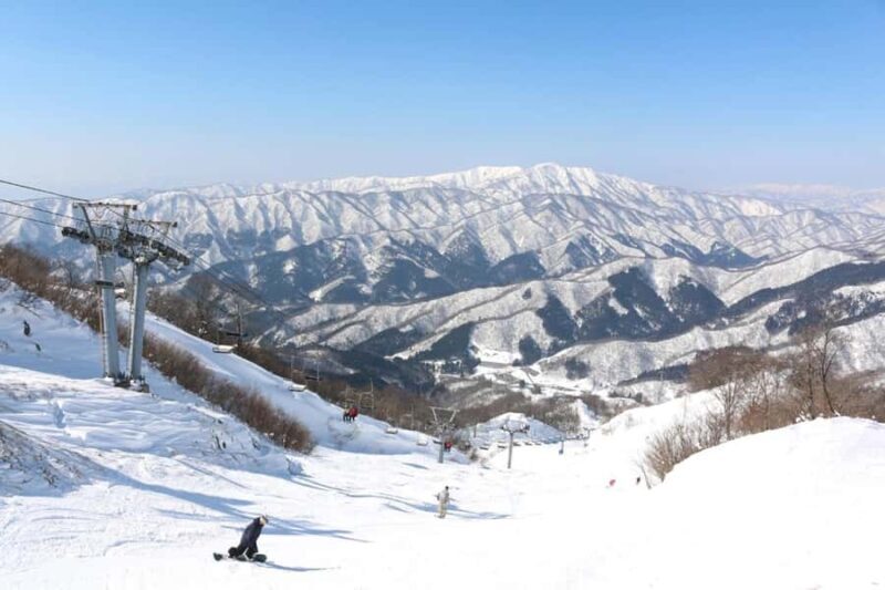 From Osaka: Okubuki Ski Resort Day Trip & Lake Biwa Option - What Travelers Say
