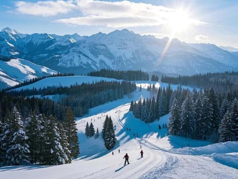 From Osaka or Kyoto: Hakodateyama & Okuibuki Ski 2-Day Trip - The Experiences Overall Value